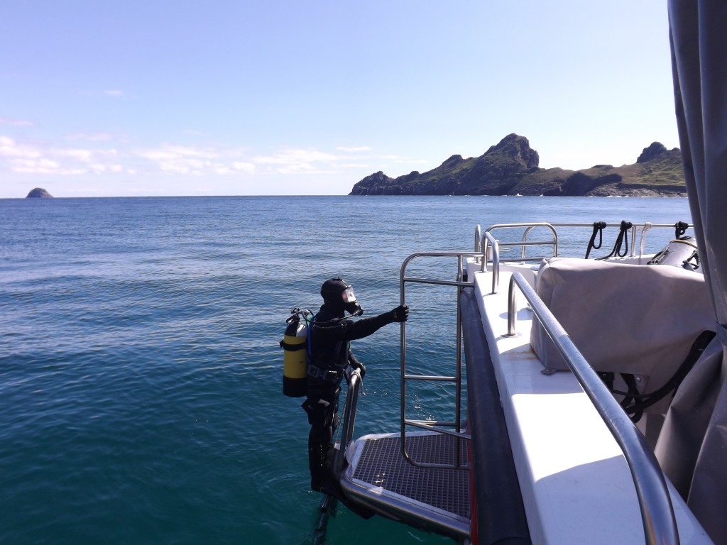 Operations, ROV, Diver support